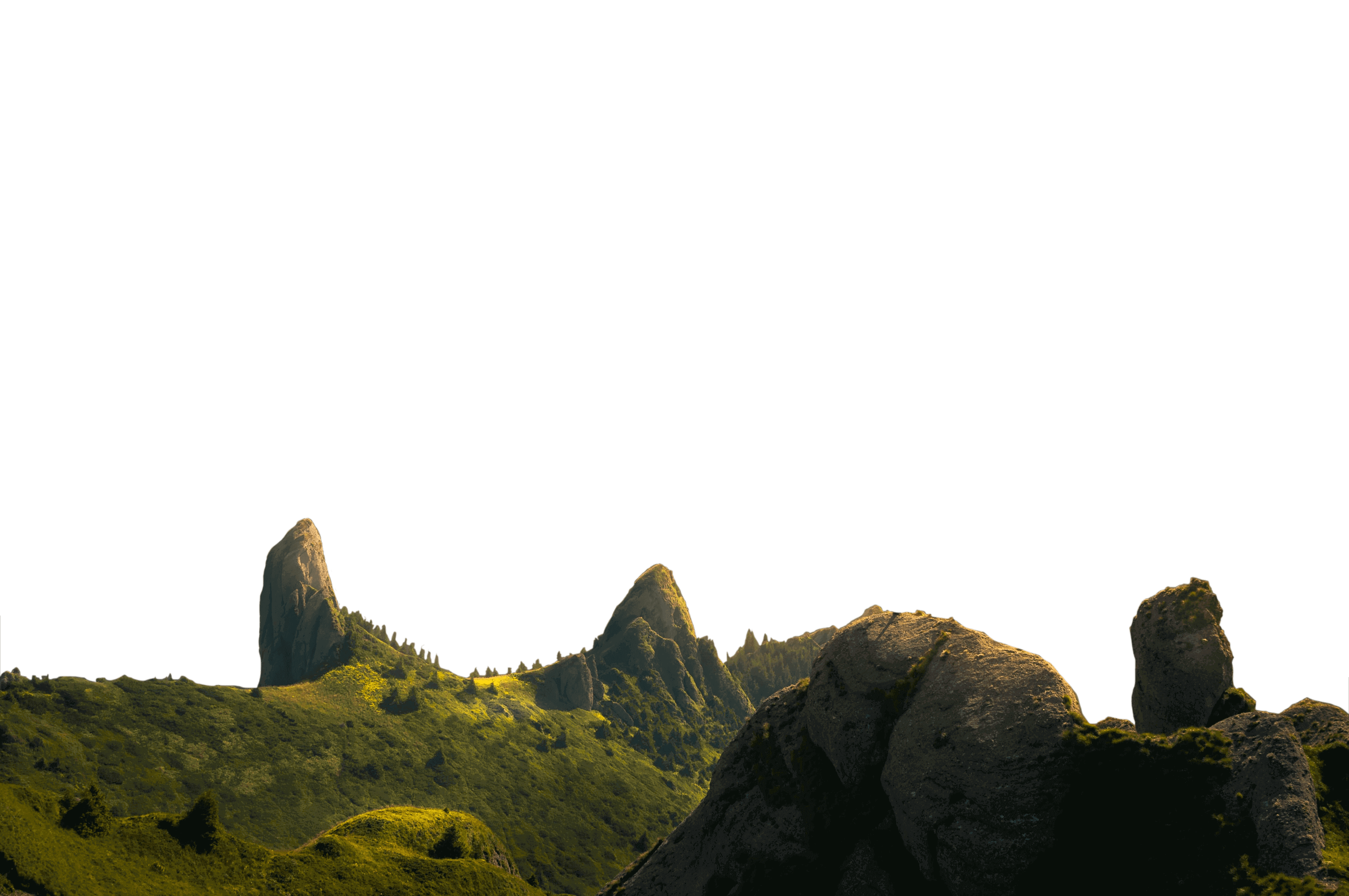 Online Small Business Liability Insurance | Insurance Canopy